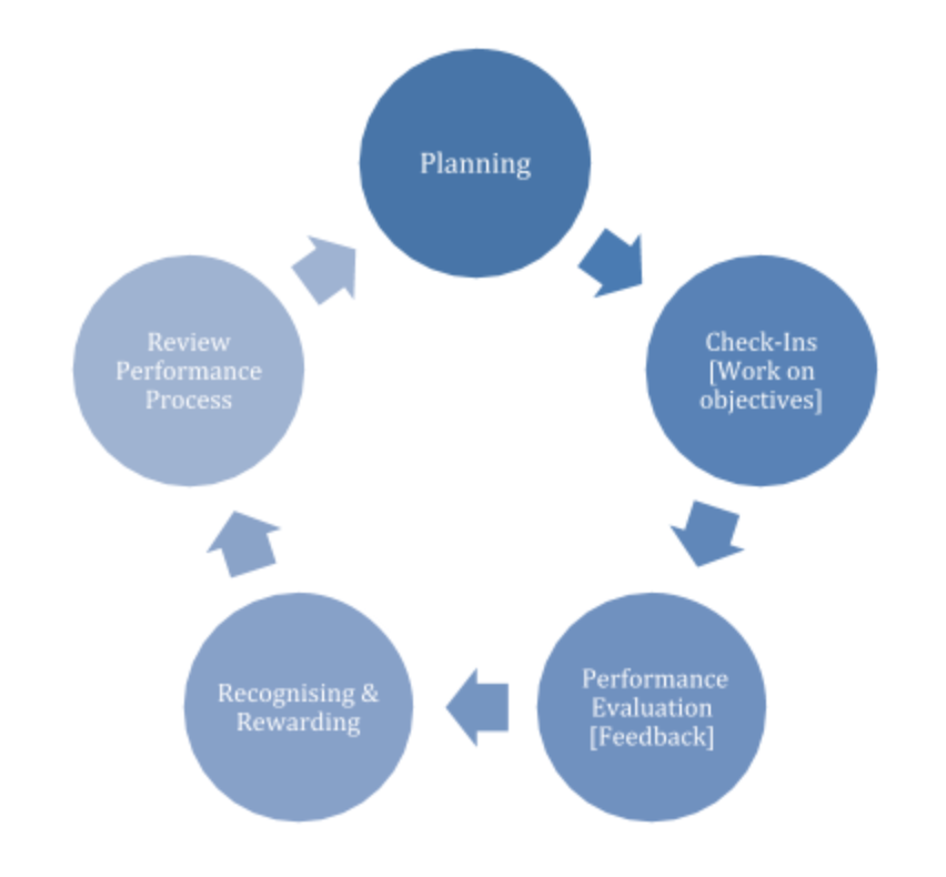 Process Conducting A Performance Evaluation